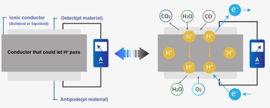 What Is A CO Sensor And How Does It Work? - Sensor One Stop - The Best ...