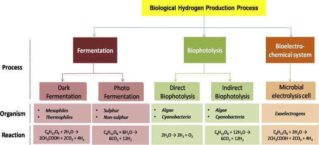 Production and Applications of Hydrogen - Sensor One Stop - The Best ...