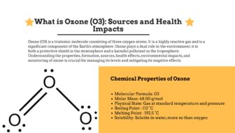 What is Ozone (O3): Sources and Health Impacts - Sensor One Stop - The ...