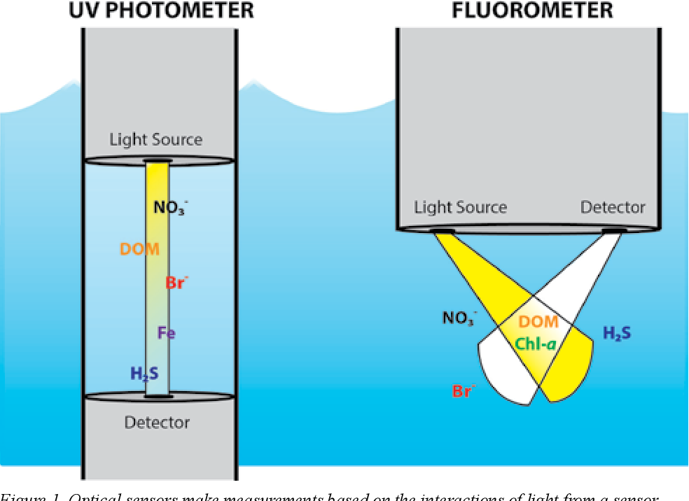 Understanding Water Quality Sensors: Types, Importance, and ...