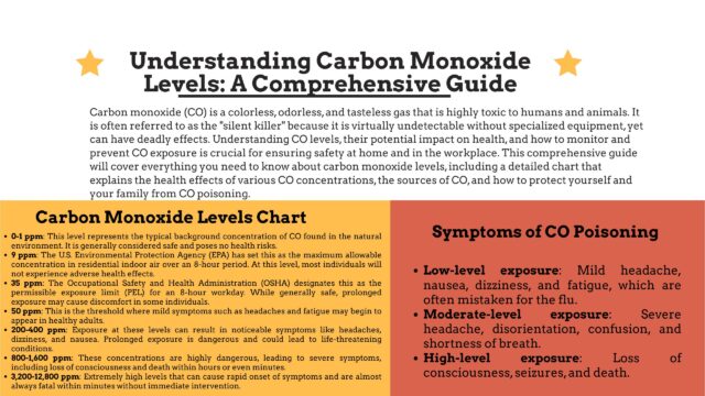 Understanding Carbon Monoxide Levels: A Comprehensive Guide - Sensor ...