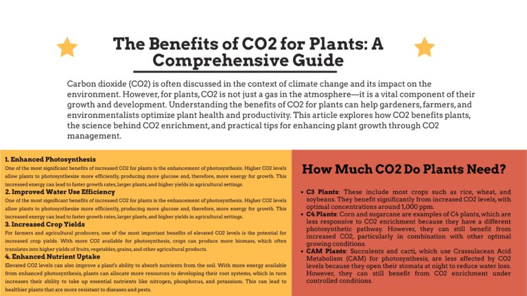 The Benefits of CO2 for Plants: A Comprehensive Guide - Sensor One Stop ...